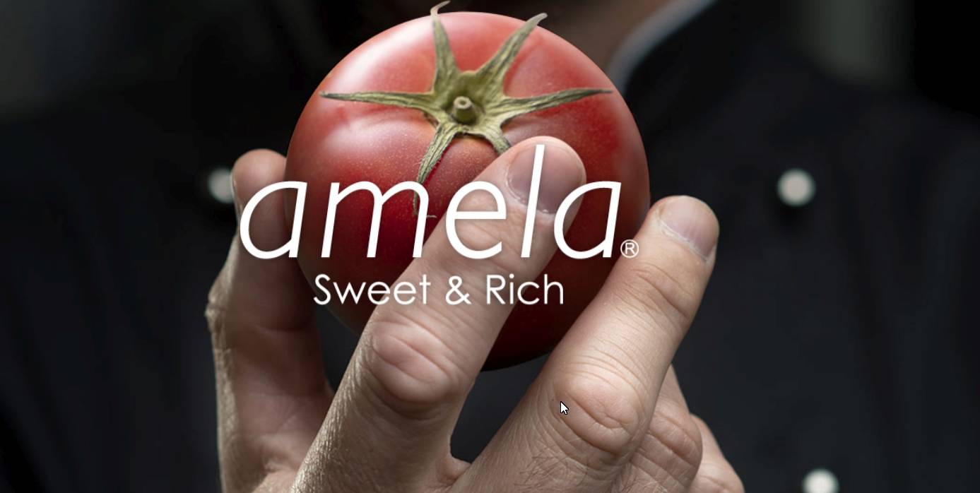 Bemutatjuk a győztest: az Amela® paradicsom története - FruitVeB