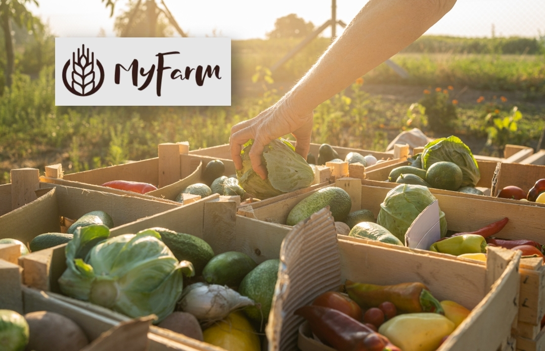 MyFarm: a jövő közösségi kertmodellje Magyarországon (x) - FruitVeB